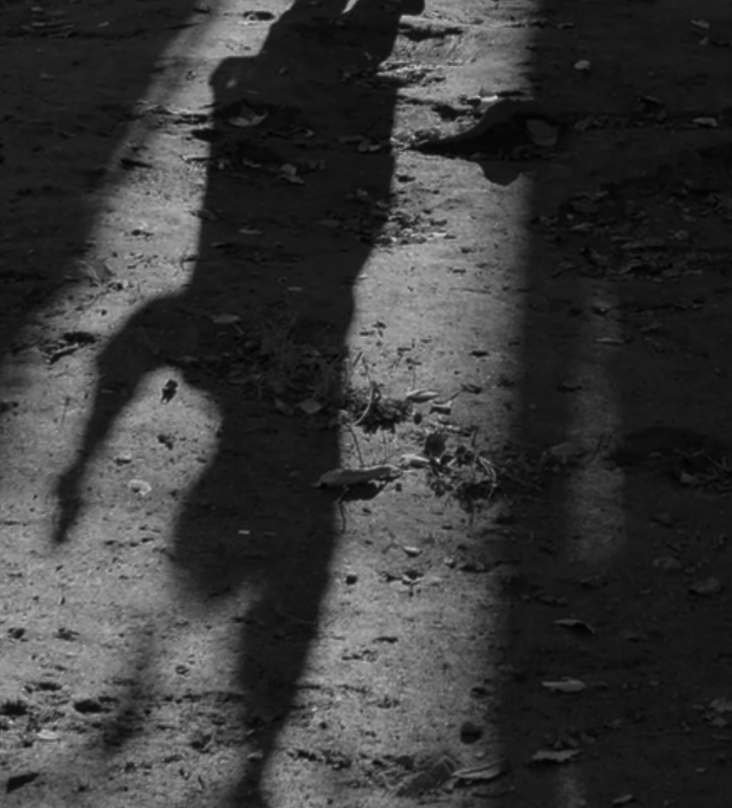 cast | PERFECT DAYS 公式サイト