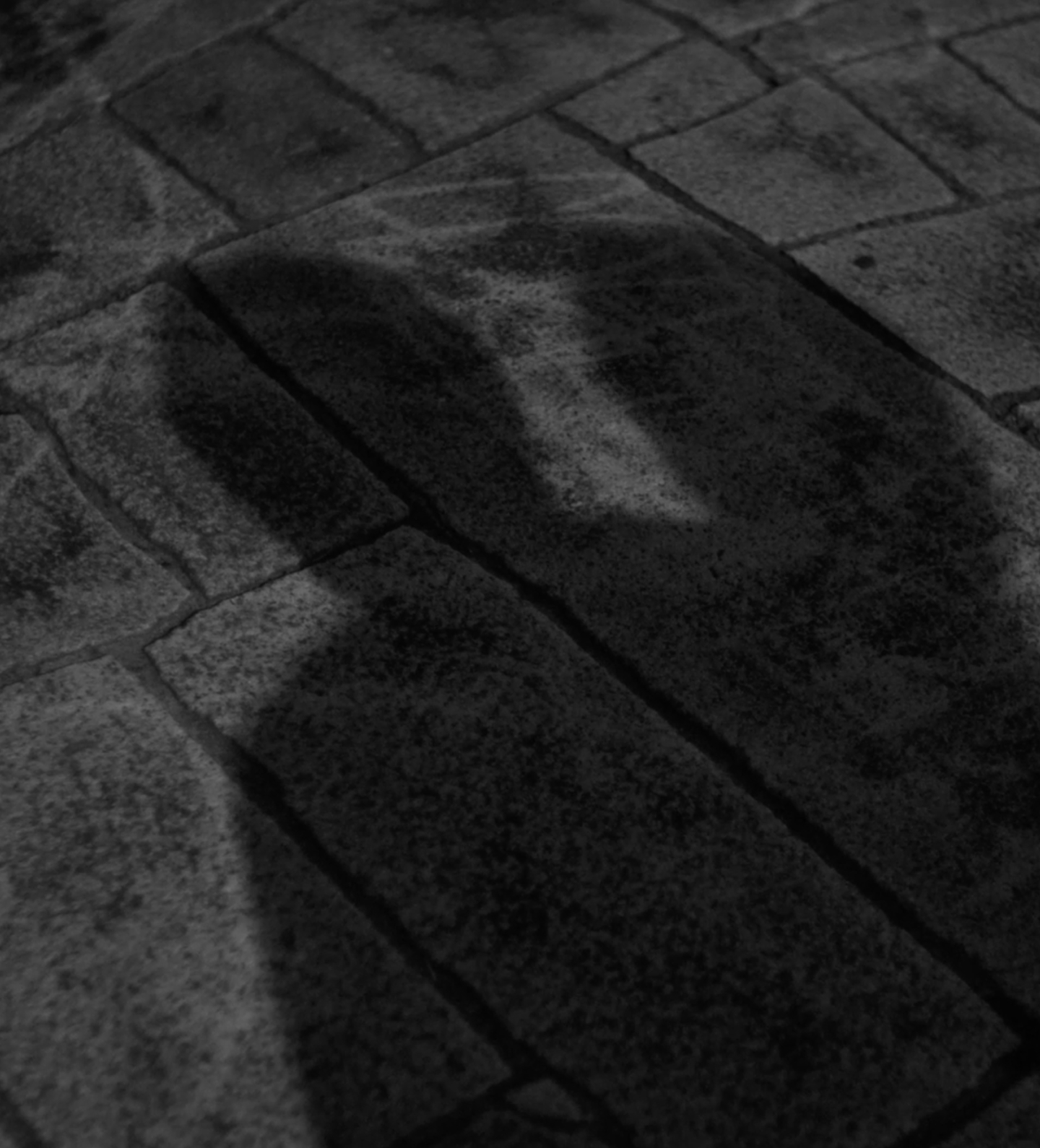 cast | PERFECT DAYS 公式サイト